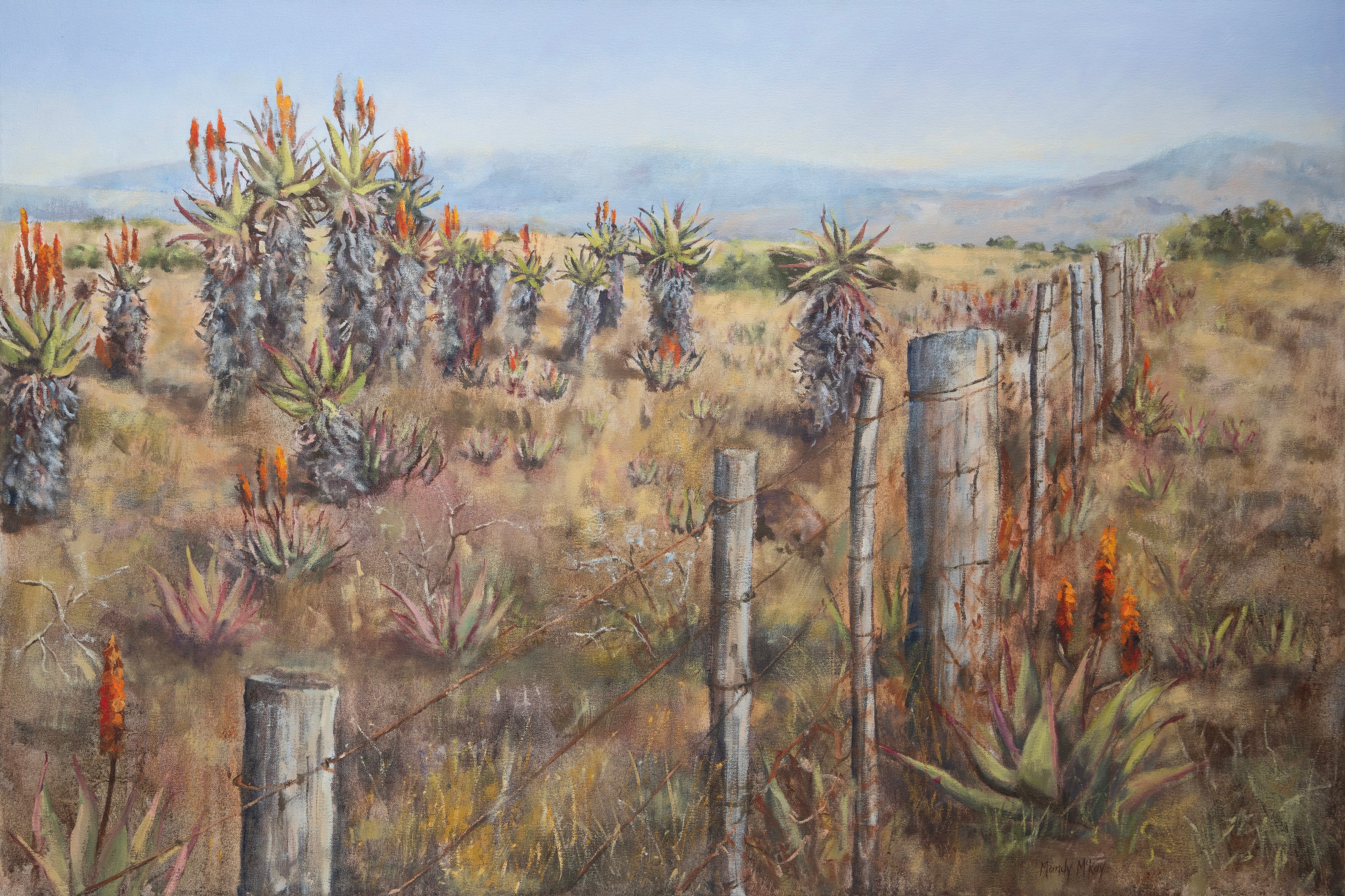 Aloes and Old Fence Canvas Print – Ruthanne Collection