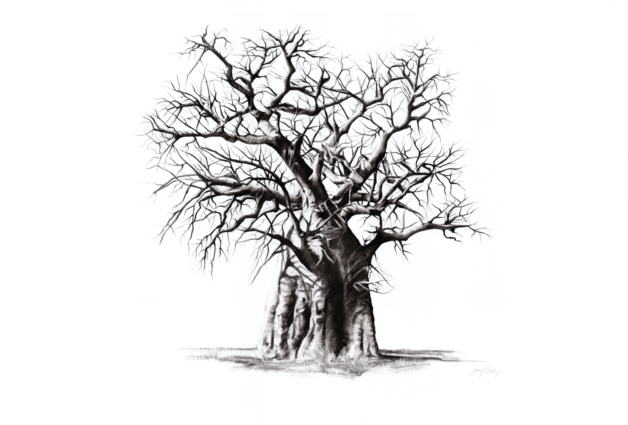 Baobab Canvas Print #3 | African Landscape Art – Ruthanne Collection